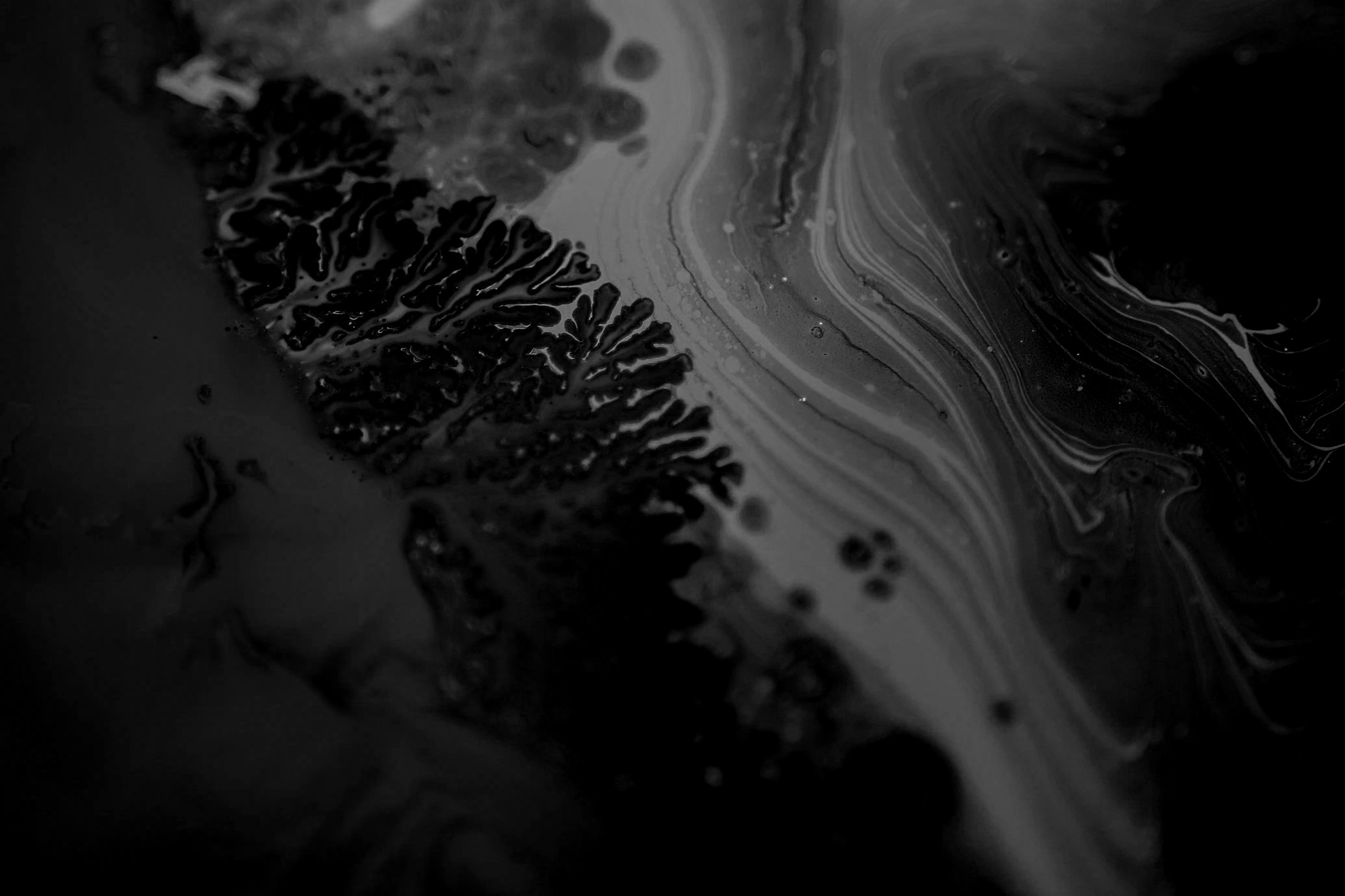 What is BlackMatter Ransomware?